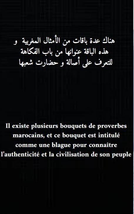Un bouquet de proverbes marocains De Lhumour dantan - Etsy France