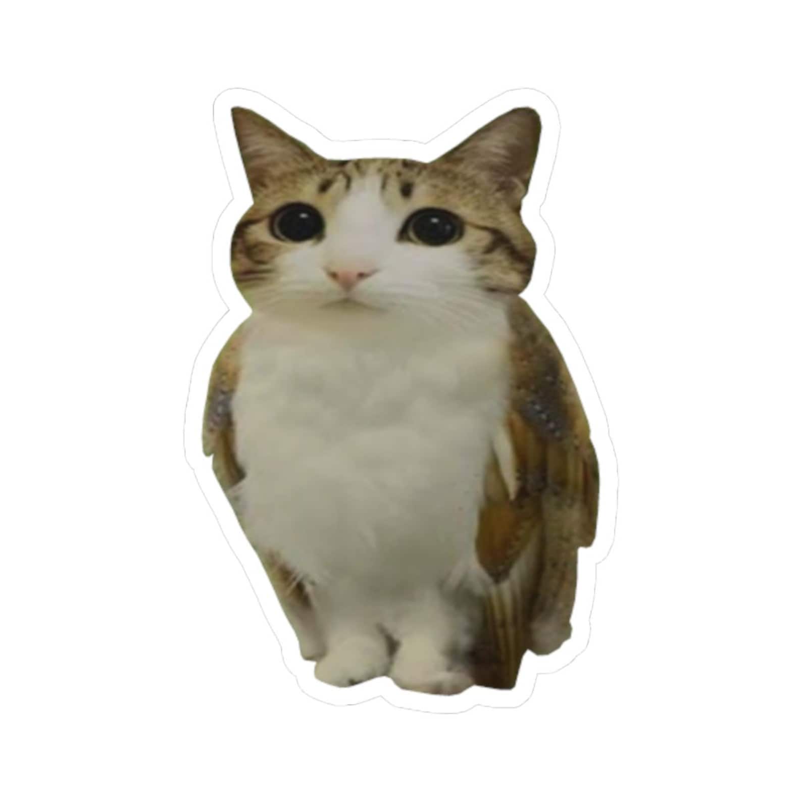 Cat Owl Meowl Mashup Vinyl Sticker | Laptop Decal - Etsy