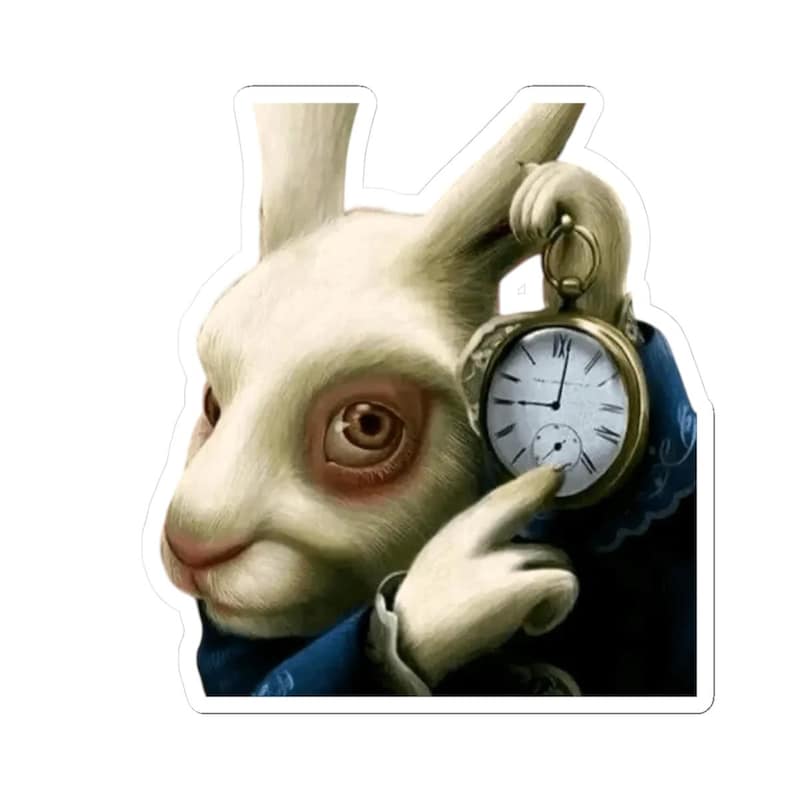Rabbit Pocket Watch - Etsy