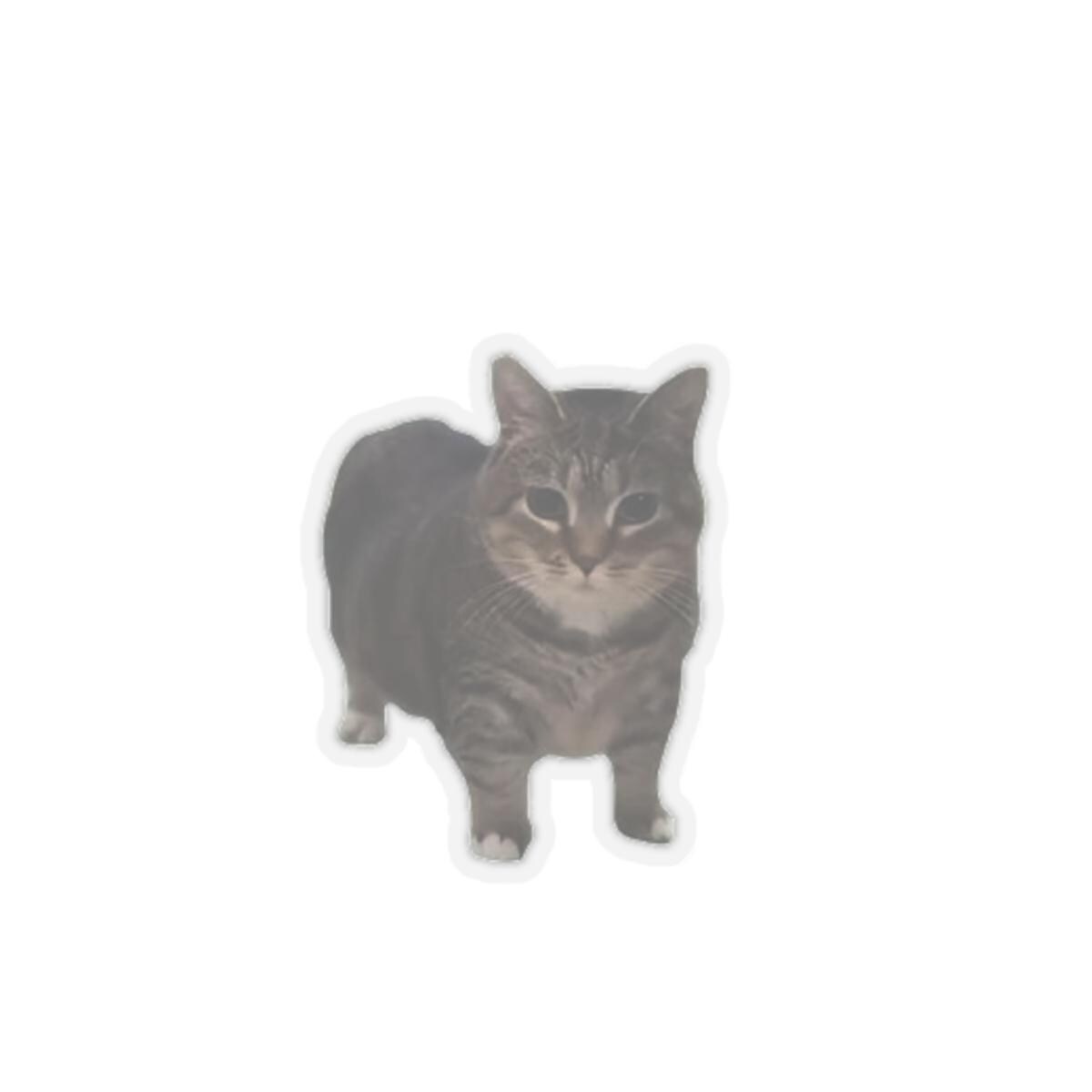 Uia Uai Cat Meme Funny Stickers - Etsy