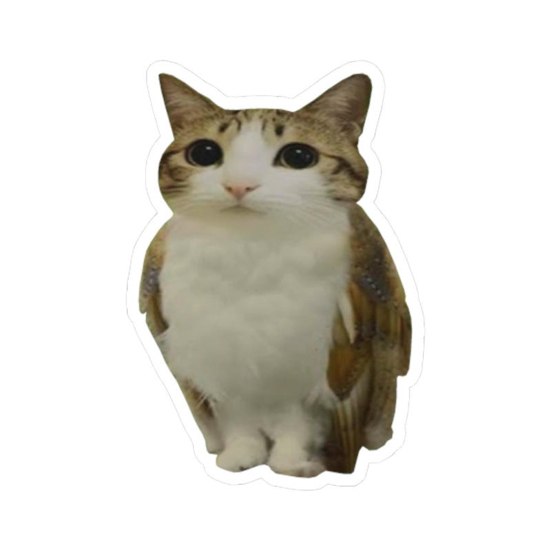 Meowl Plush - Etsy