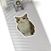 Cat Owl Meowl Mashup Vinyl Sticker | Laptop Decal - Etsy