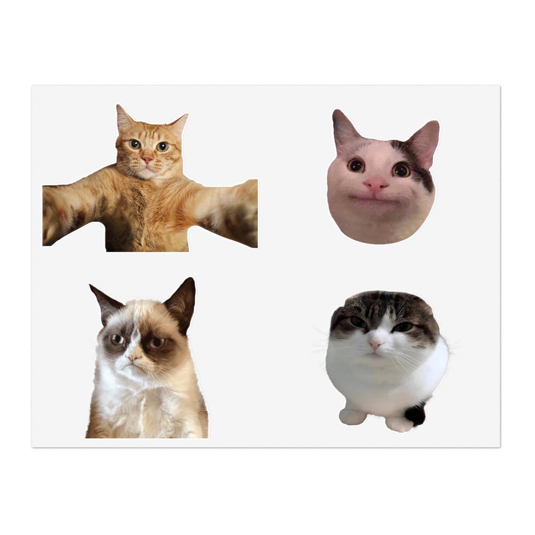 Funny Cat Meme Faces Sticker Sheets | Cute Meme Cat Stickers - Etsy