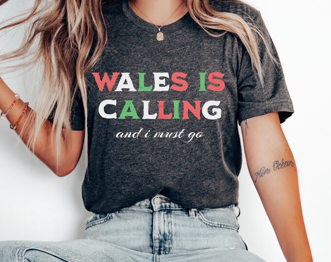 Welsh Tshirt I'm Not Perfect but I Am Welsh and That's Kind of the Same ...