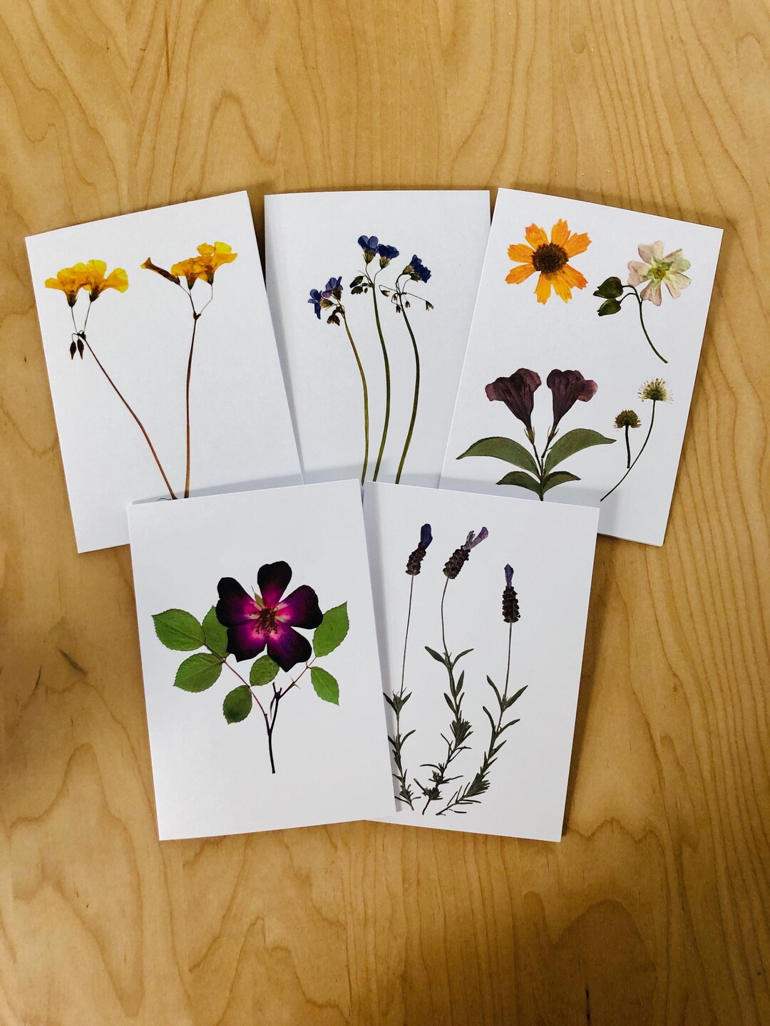 Set of 5 Pressed Flower Art Greeting Cards | Botanical Print Notecards ...