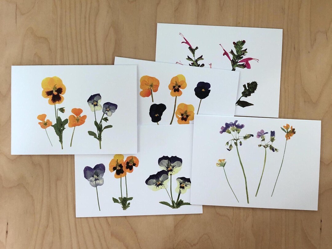 Set of 5 Pressed Flower Art Greeting Cards Botanical Print Notecards ...