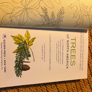 Golden Book Guide to Field Identication Trees of North America 1979/68 ...