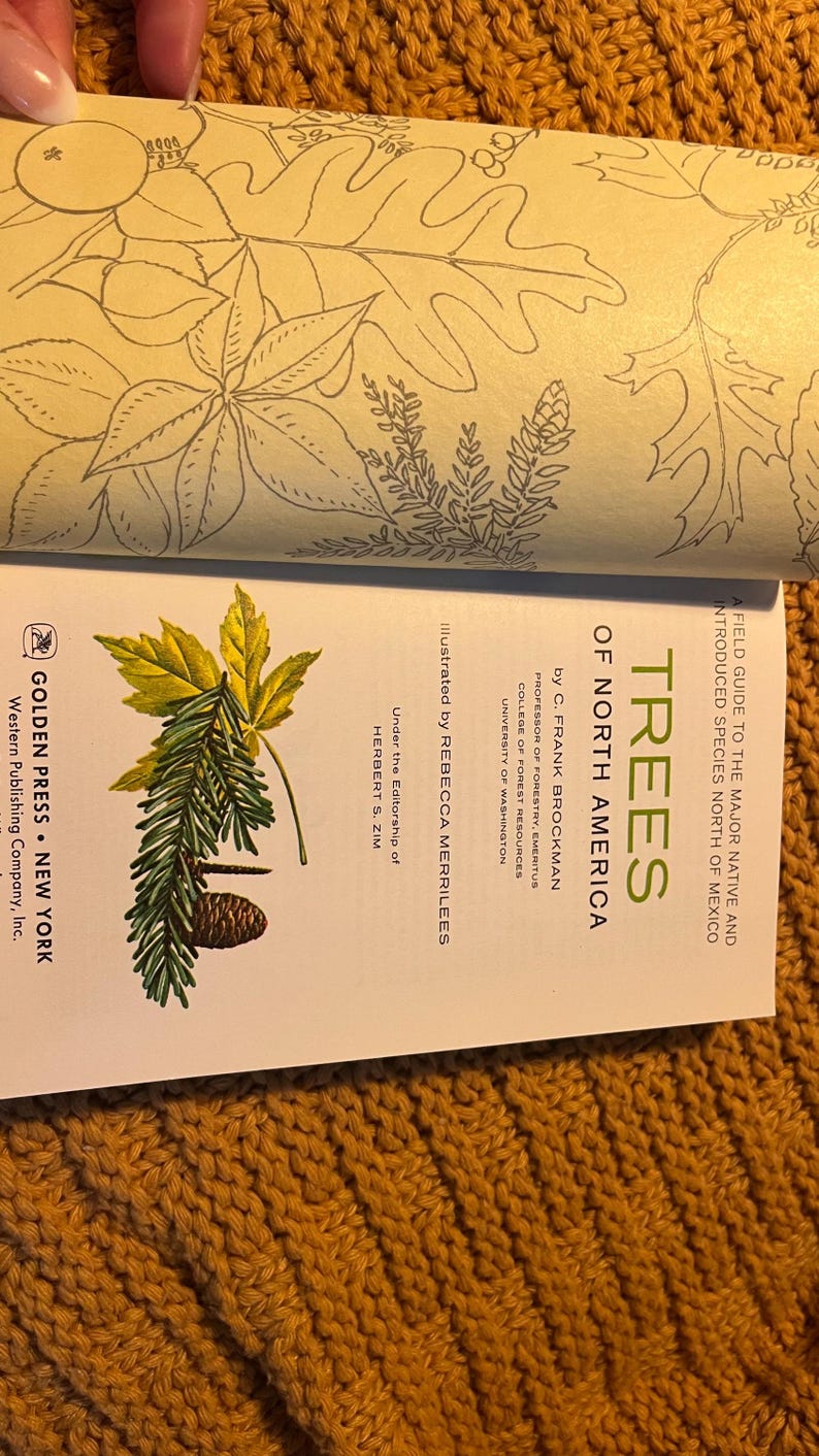Golden Book Guide to Field Identication Trees of North America 1979/68 ...
