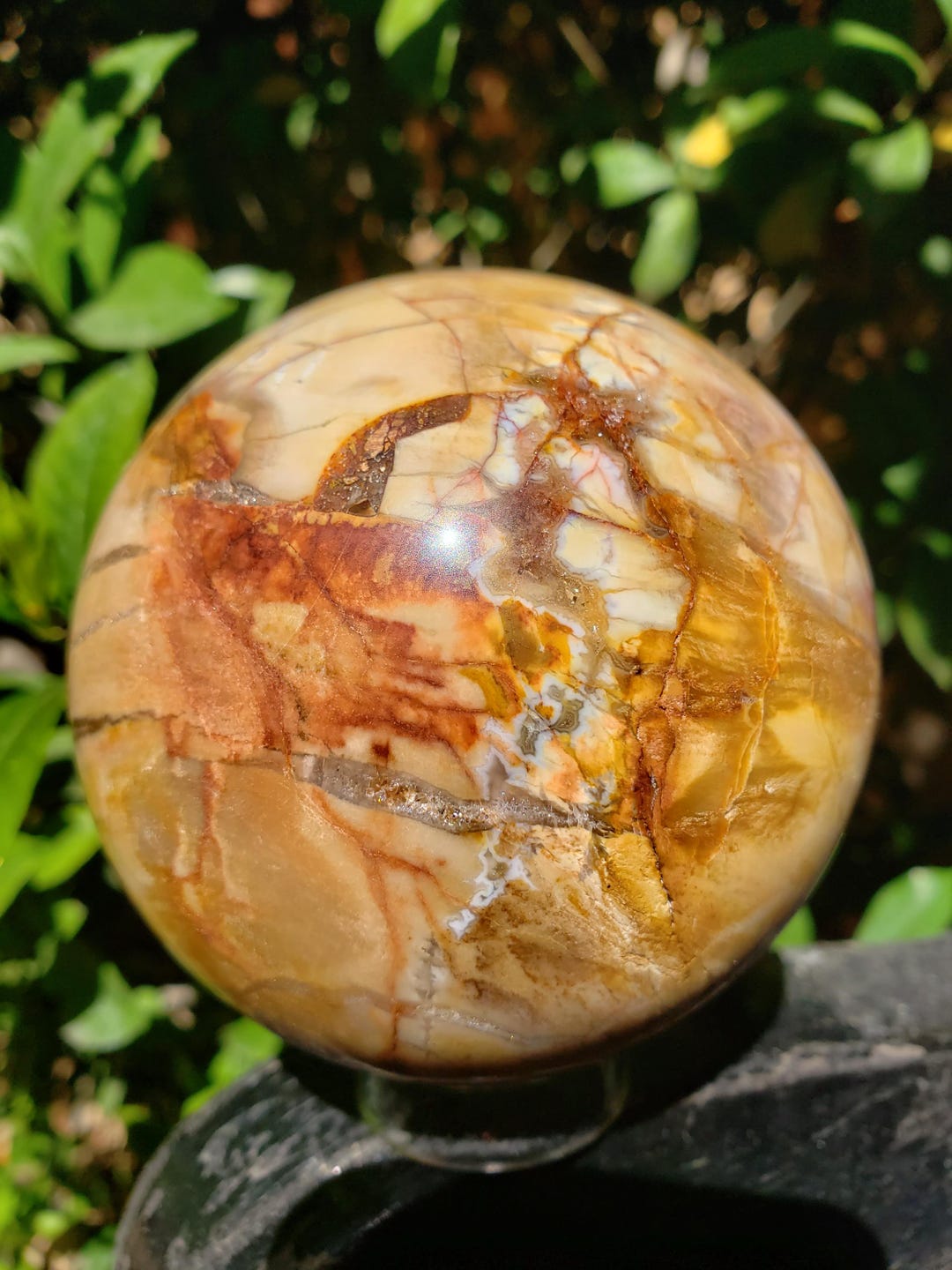 3.2" Petrified Wood Sphere Orb Quartz Crystal Ball Fossil Mineral UV ...