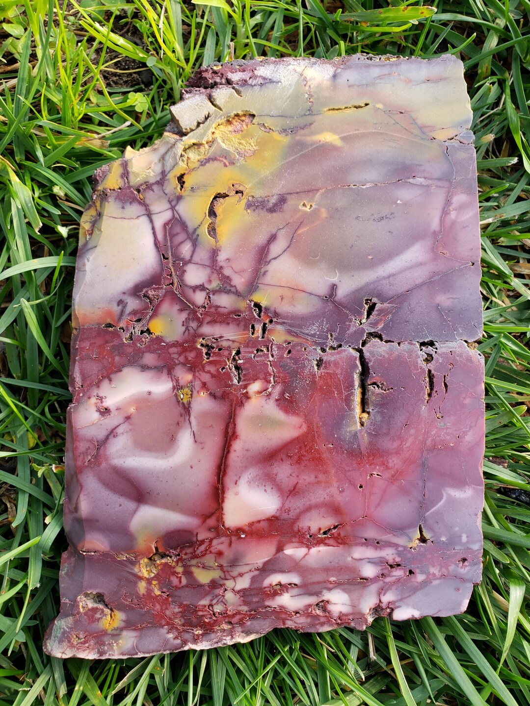 Mookaite Jasper Semi-polished Slab Plate Crystal Reds Purple Yellow ...