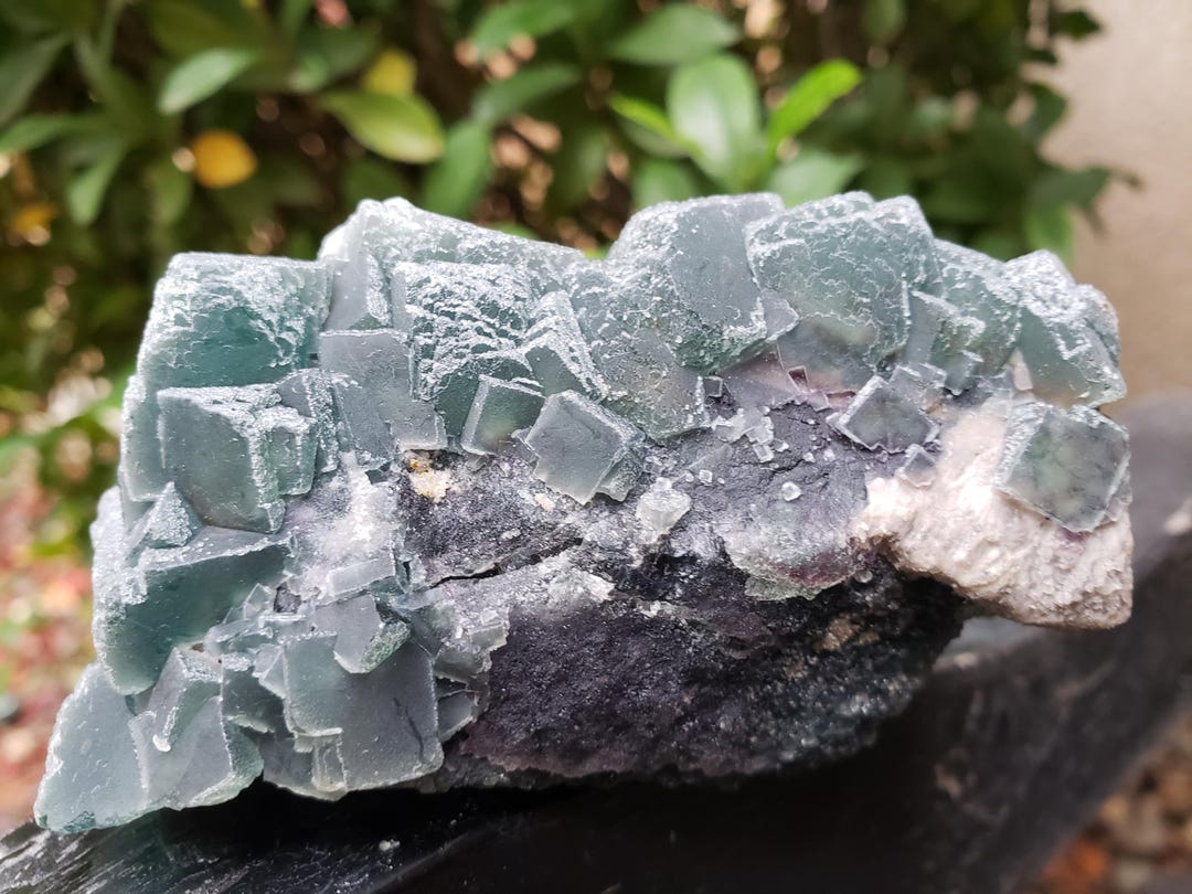 Dark Green Cubic FLUORITE Crystal Cluster Mineral Specimen Natural ...