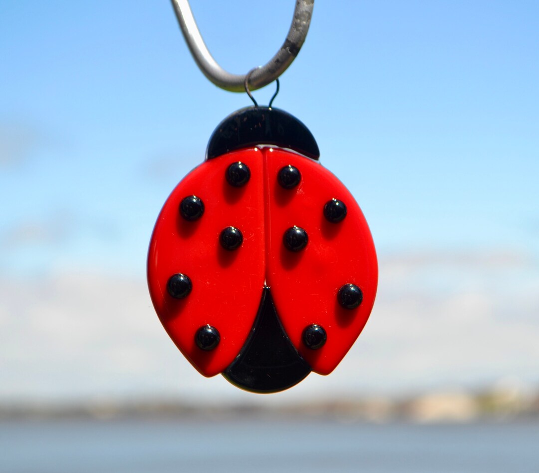 Ladybug Beetle Fused Glass Suncatcher Garden Bug Summer Red Glass - Etsy