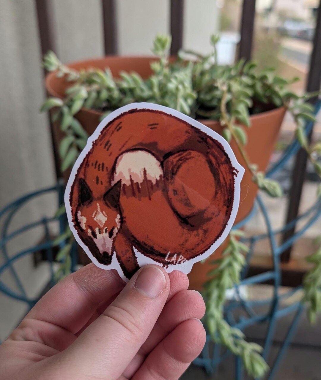 Curled Fox Sticker - 3" Clear Sticker - Etsy