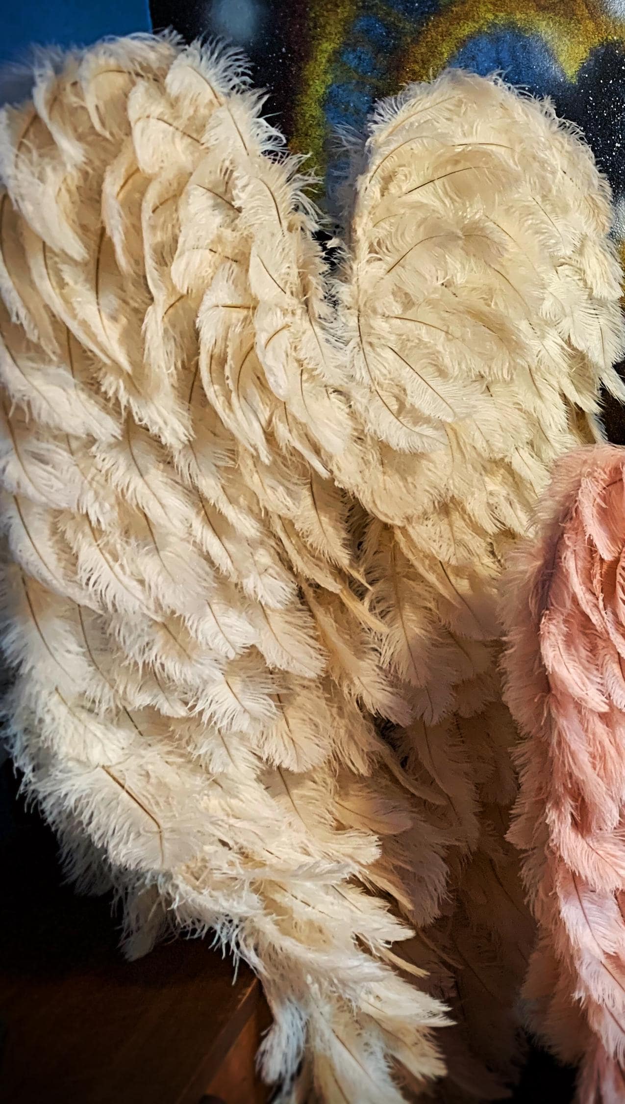 Genesis Angel Wings, Ivory, Large - Etsy