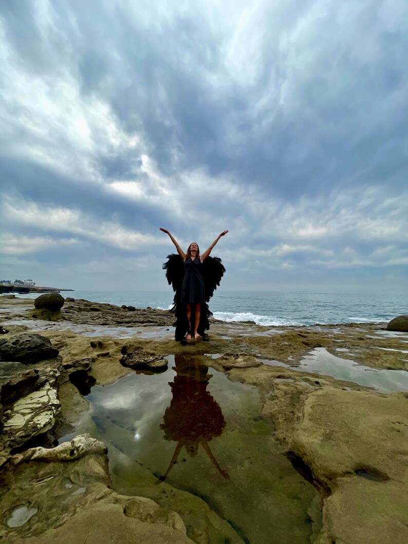 Genesis Angel Wings, Black, Large - Etsy