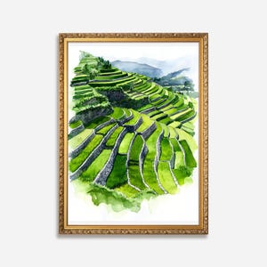 Terraced Rice Fields Watercolor Landscape Art Print (digital Download ...