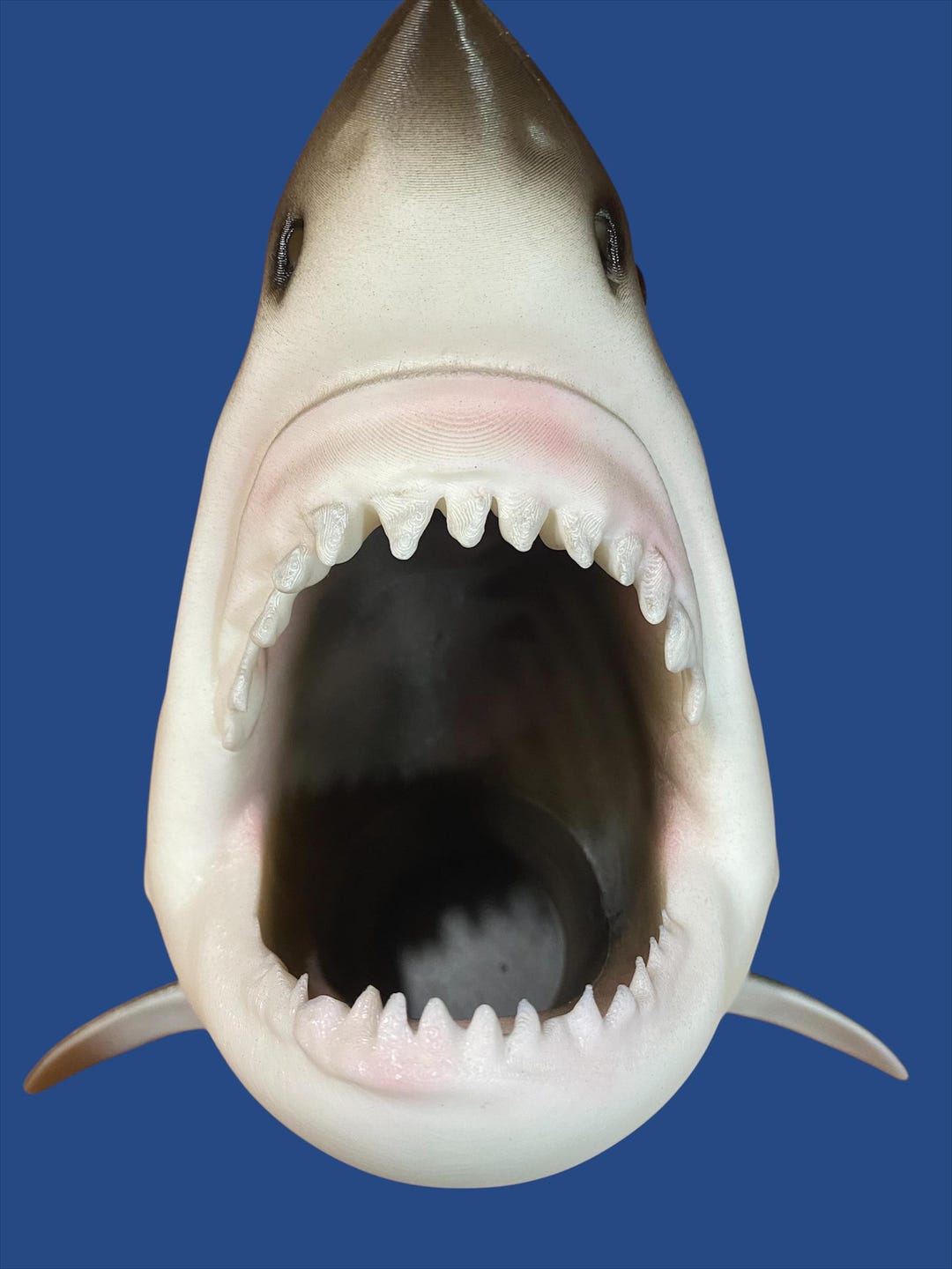 Shark Pen & Pencil Holder: Hand-painted Desk Organizer - Etsy