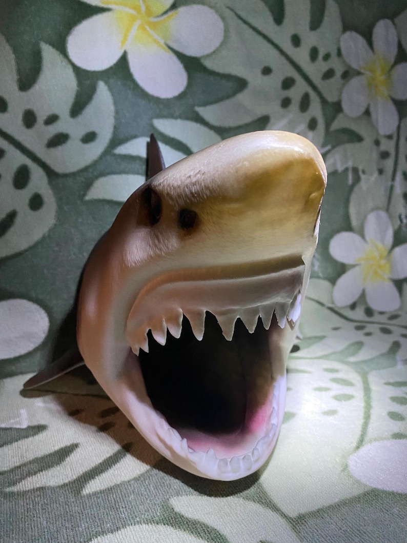 Great White Shark Head Sculpture, Hand Painted Realistic Shark, Wall ...