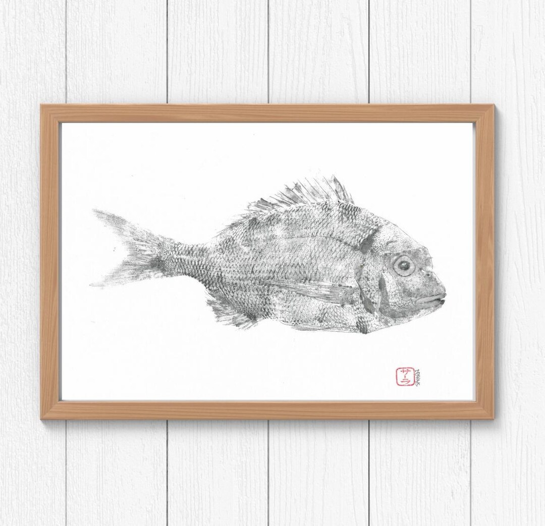 Gyotaku Fish Print, Wall Art, Coastal Home Decor, Snapper/squire ...