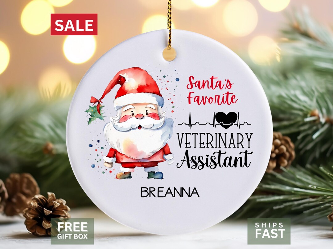 Veterinary Assistant Ornament | Unique Personalized Christmas Gift for ...