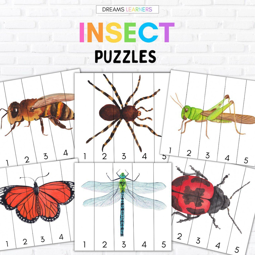 Insect Preschool Puzzles Number Sequence 1-5 Kids Printables Insect ...