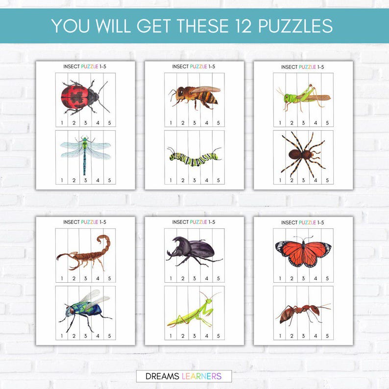 Insect Preschool Puzzles Number Sequence 1-5 Kids Printables Insect ...