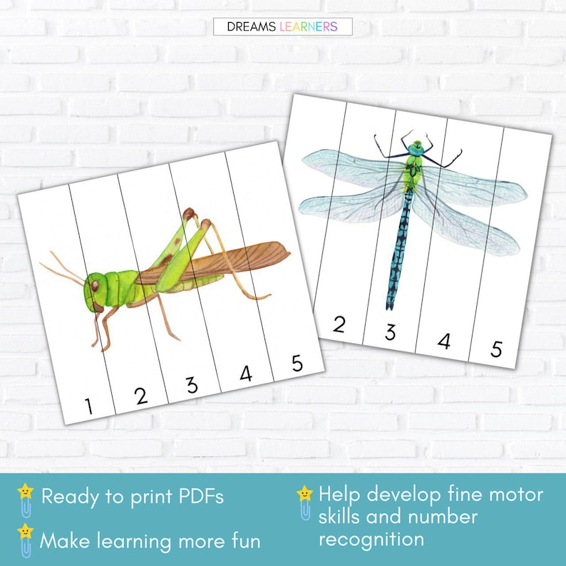 Insect Preschool Puzzles Number Sequence 1-5 Kids Printables Insect ...