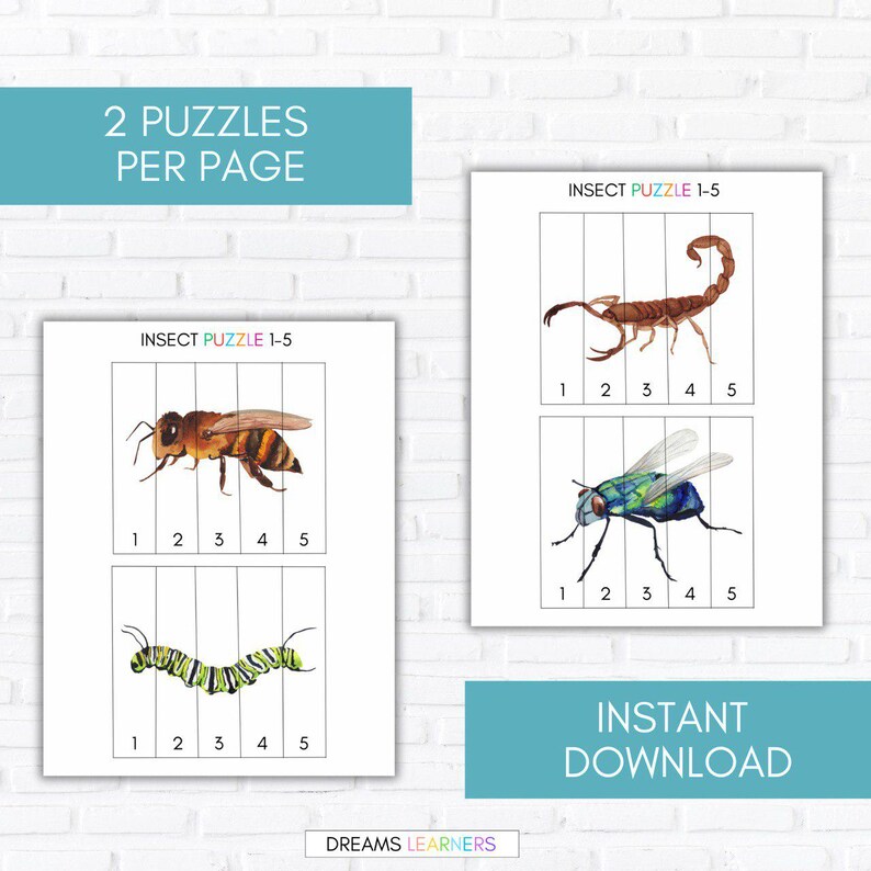 Insect Preschool Puzzles Number Sequence 1-5 Kids Printables Insect ...