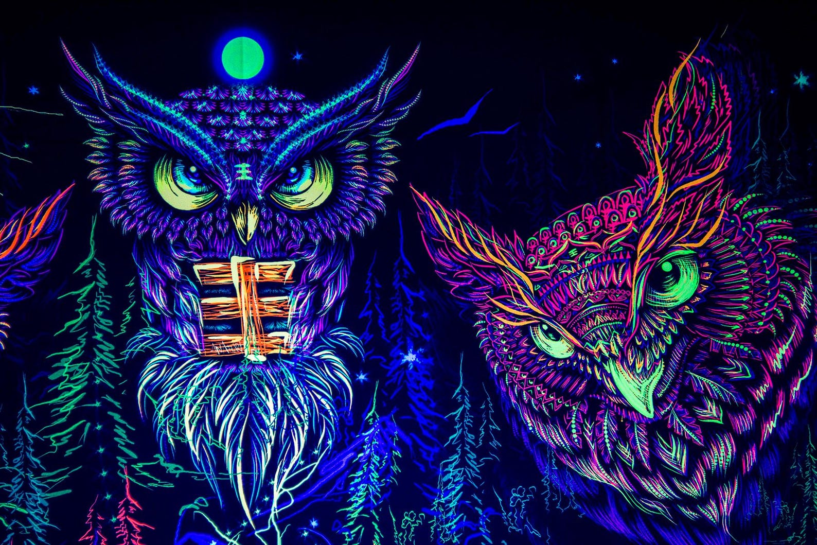 Mystical Art "owls" Forest Art UV Reaction Print Trippy Canvas Wall ...