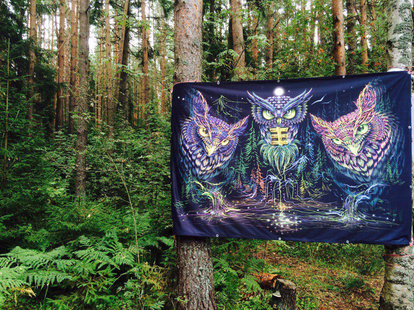 Mystical Art owls Forest Art UV Reaction Print Trippy Canvas Wall ...