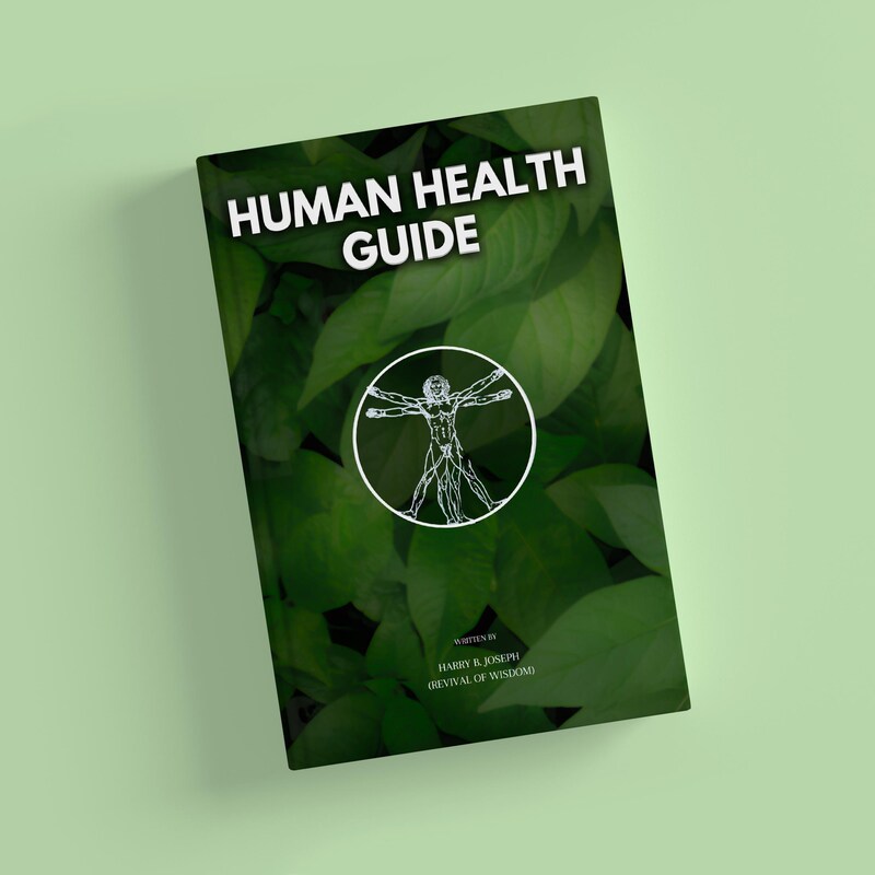 Human Body Book - Etsy