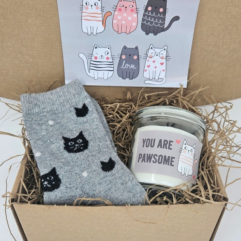 Cat Gifts - 60+ Gift Ideas for 2025