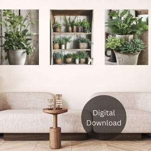 Farmhouse Botanical Wall Art Set | Rustic Plant Printables | Greenery ...