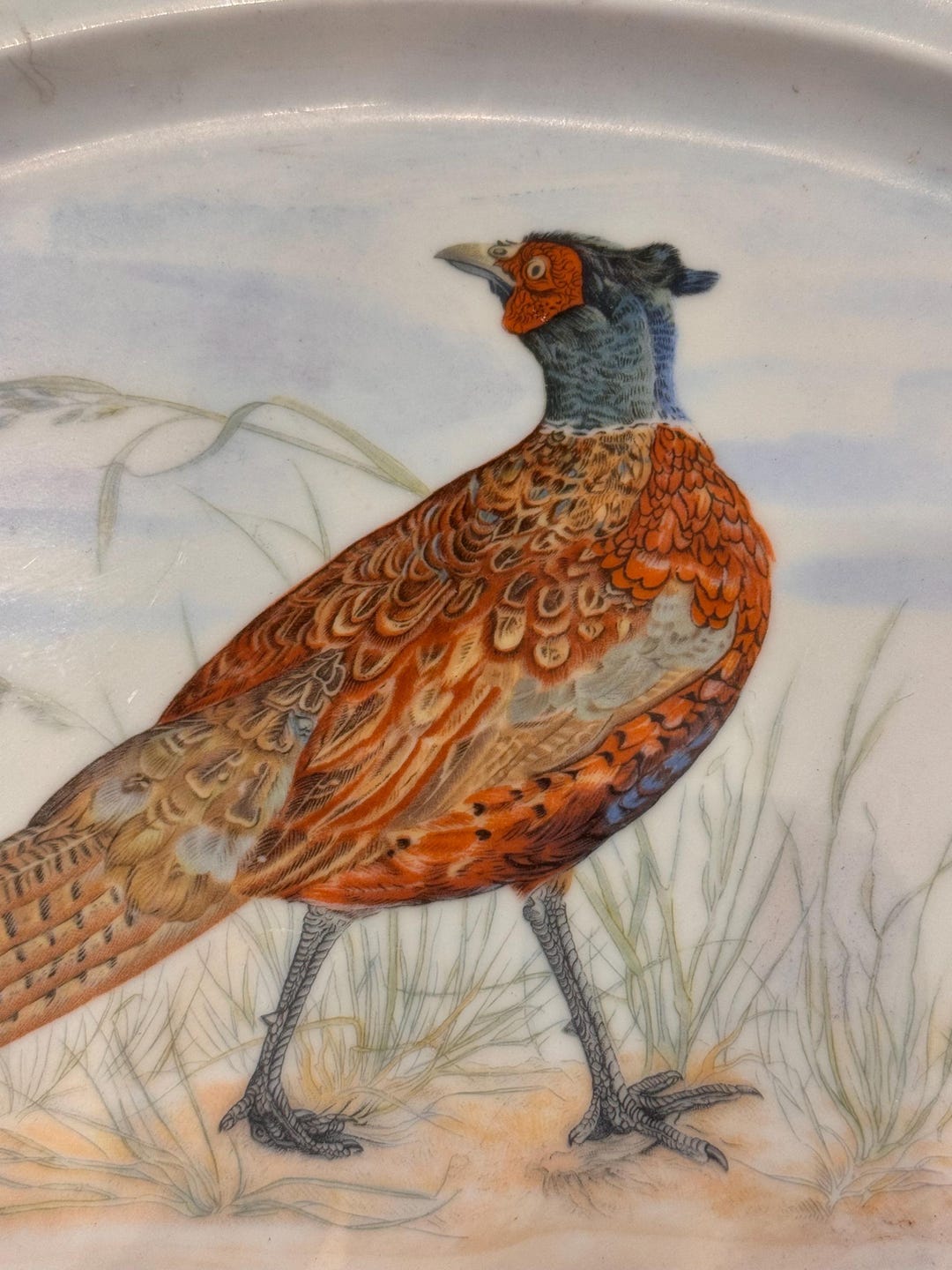 Vintage 1968 Hand-painted Pheasant Plate Bavarian 1968 Germany Gold ...