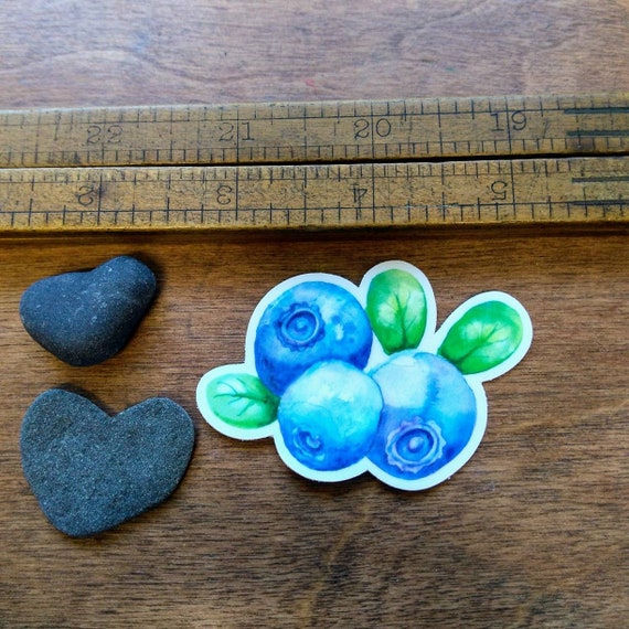 Small Blueberry Sticker - Etsy
