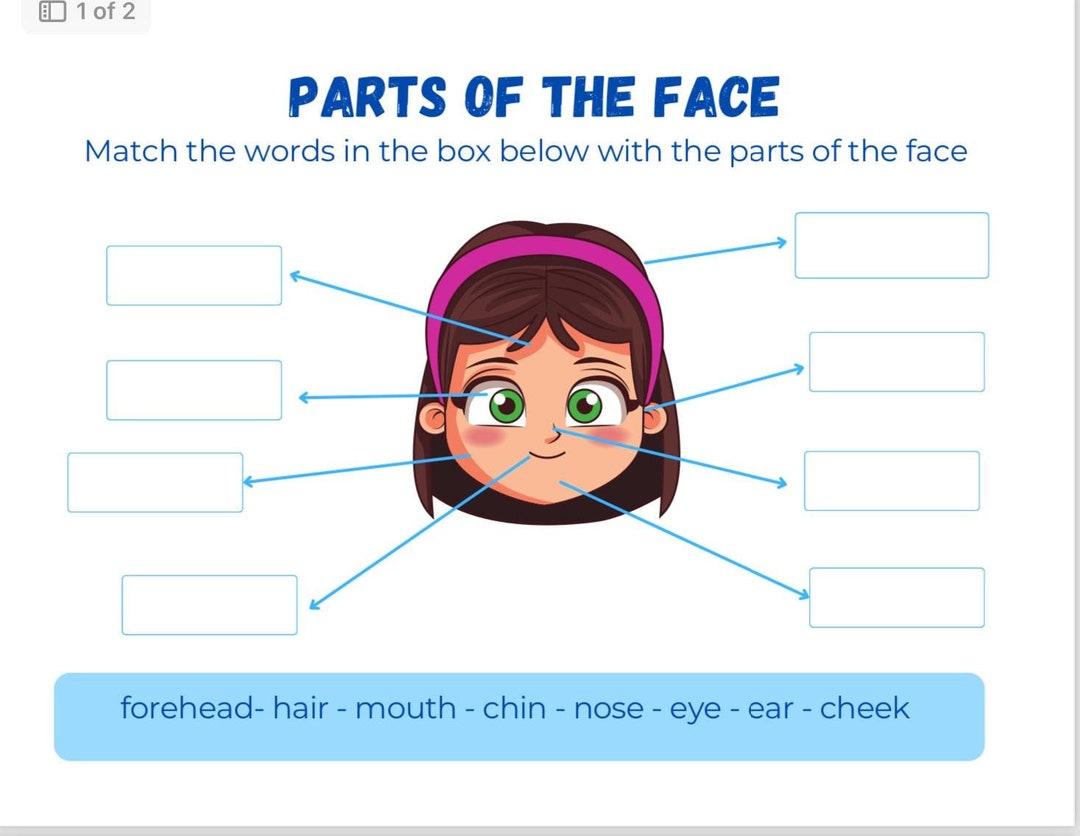 Parts of the Face Worksheet - Etsy