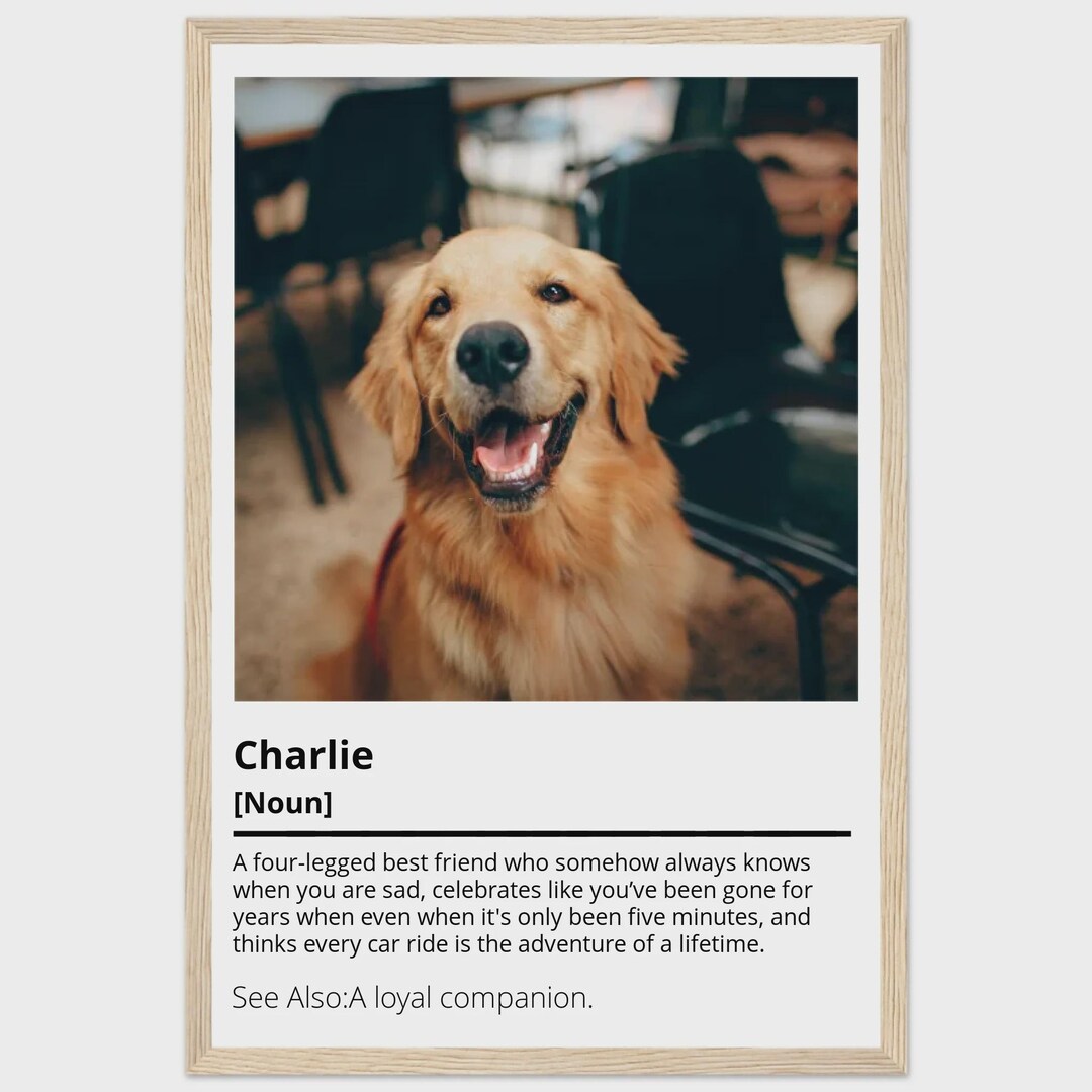Pet Definition Poster V2 Copy - Etsy