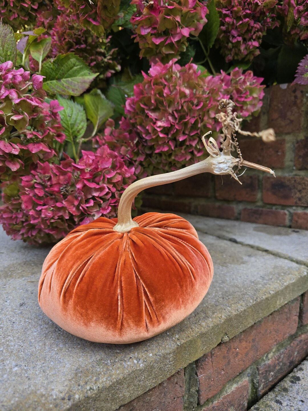 Ochre Burnt Orange Luxury Silk Velvet LARGE Pumpkin Real Stem Harvest ...