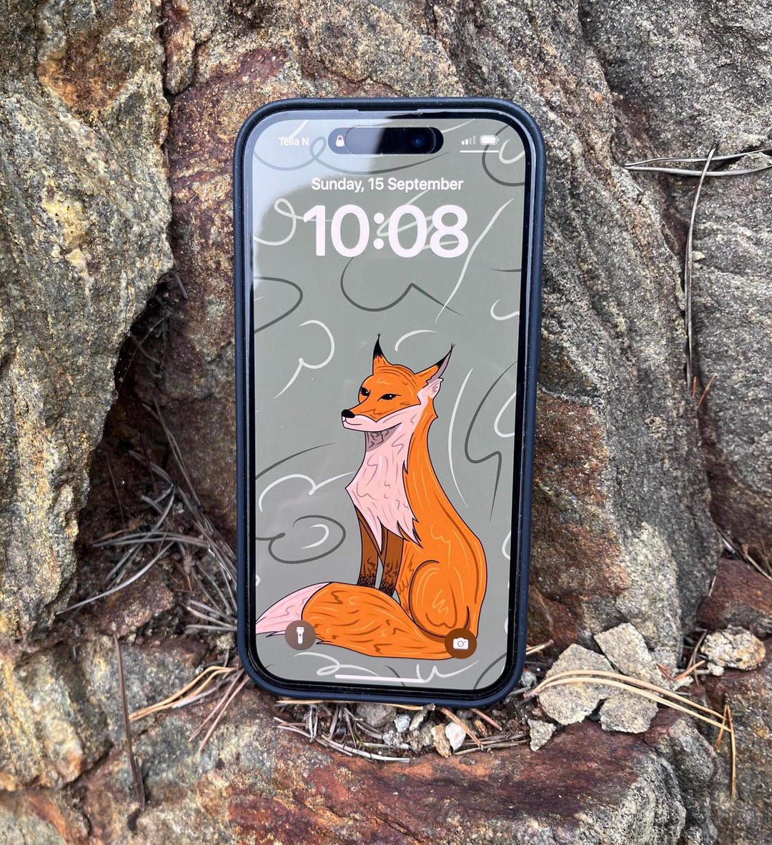 Fox Phone Wallpaper, Fall Background, Cute Fox Phone Background ...
