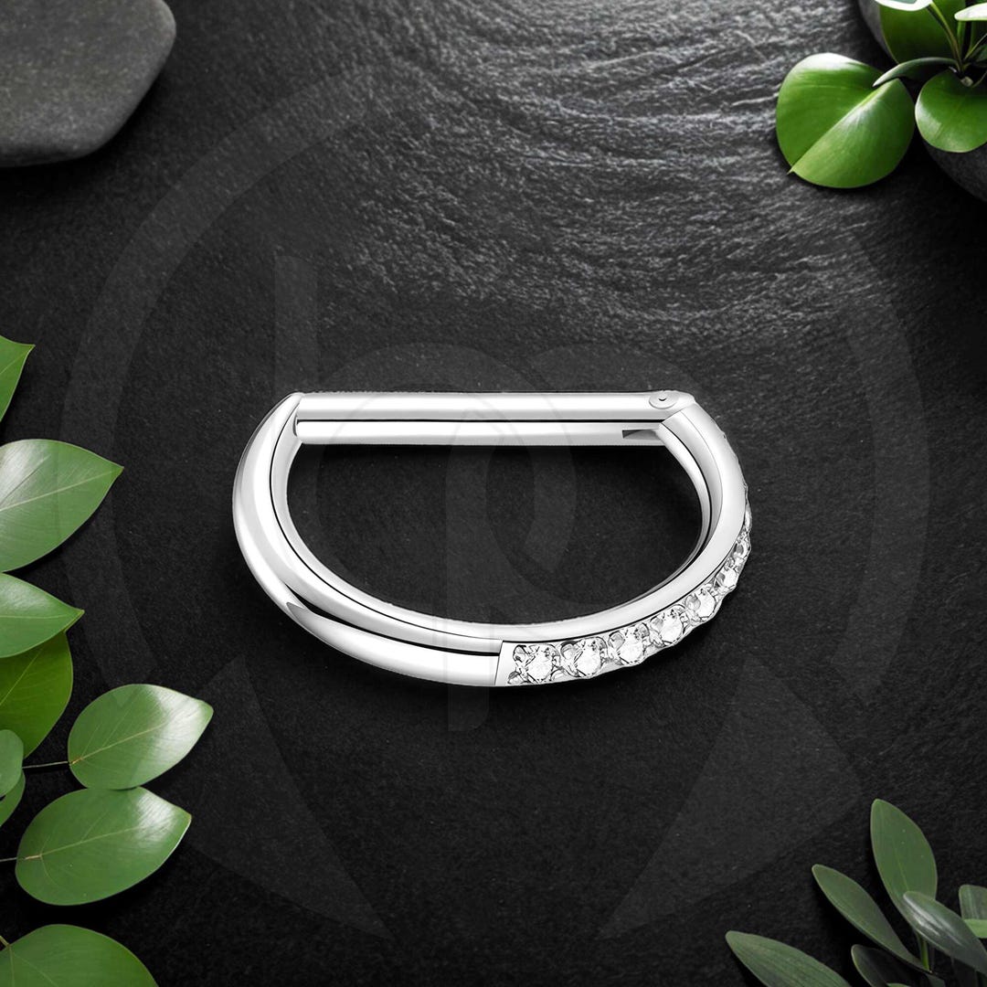 Titanium Silver Clicker Ring, Forward Helix Piercing, Tragus Ring ...