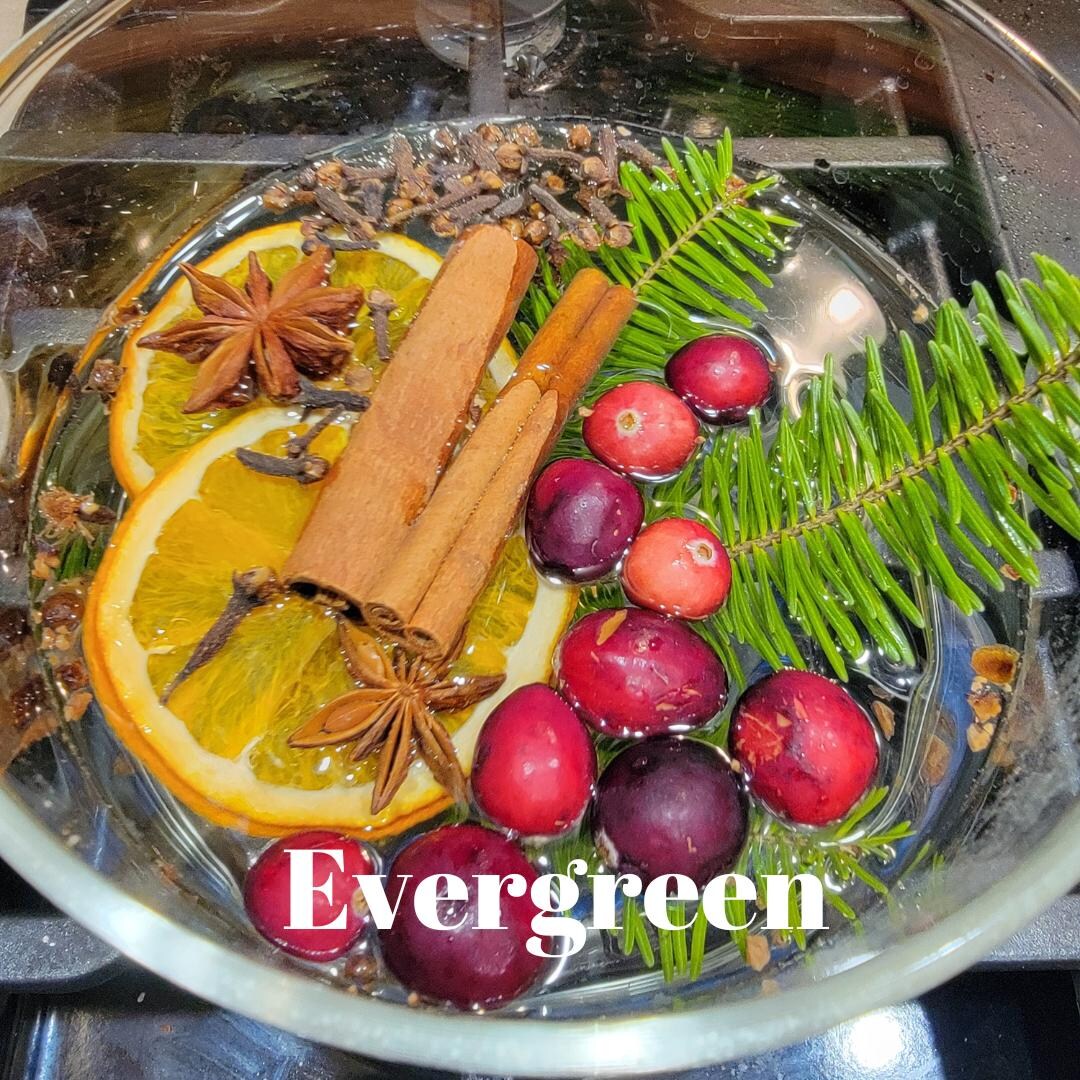 Simmer Pot Kits Winter/christmas Collection - Etsy