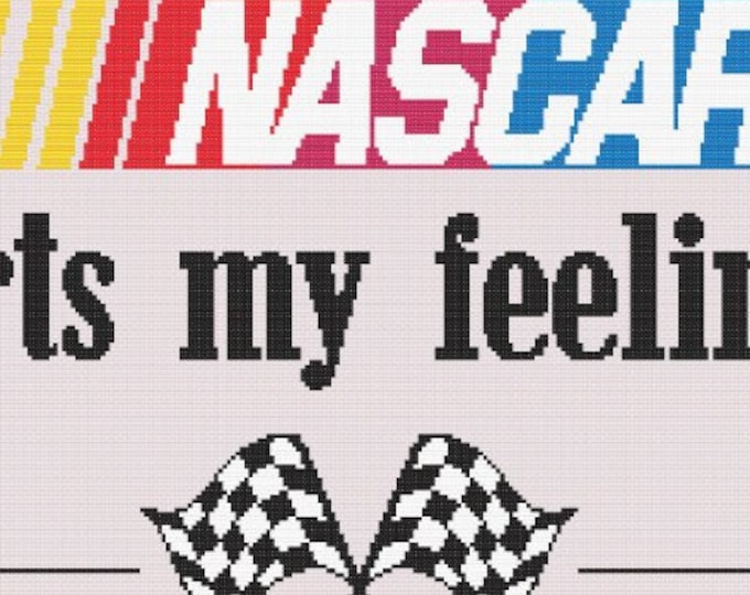 Nascar Cross Stitch Pattern PDF Instant Download - Etsy Canada