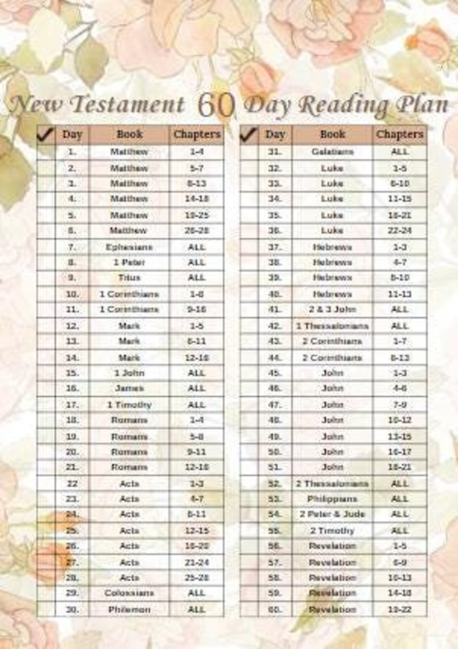 Printable New Testament 60 Day Reading Plan - Pink Floral - Etsy