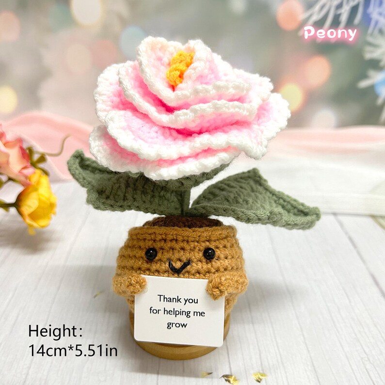 Valentine's Day Gift,crochet Red Rose,crochet Peony,crochet Corn Poppy ...