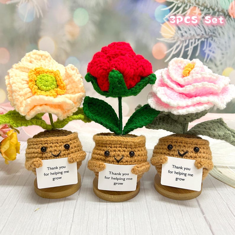 Valentine's Day Gift,crochet Red Rose,crochet Peony,crochet Corn Poppy ...