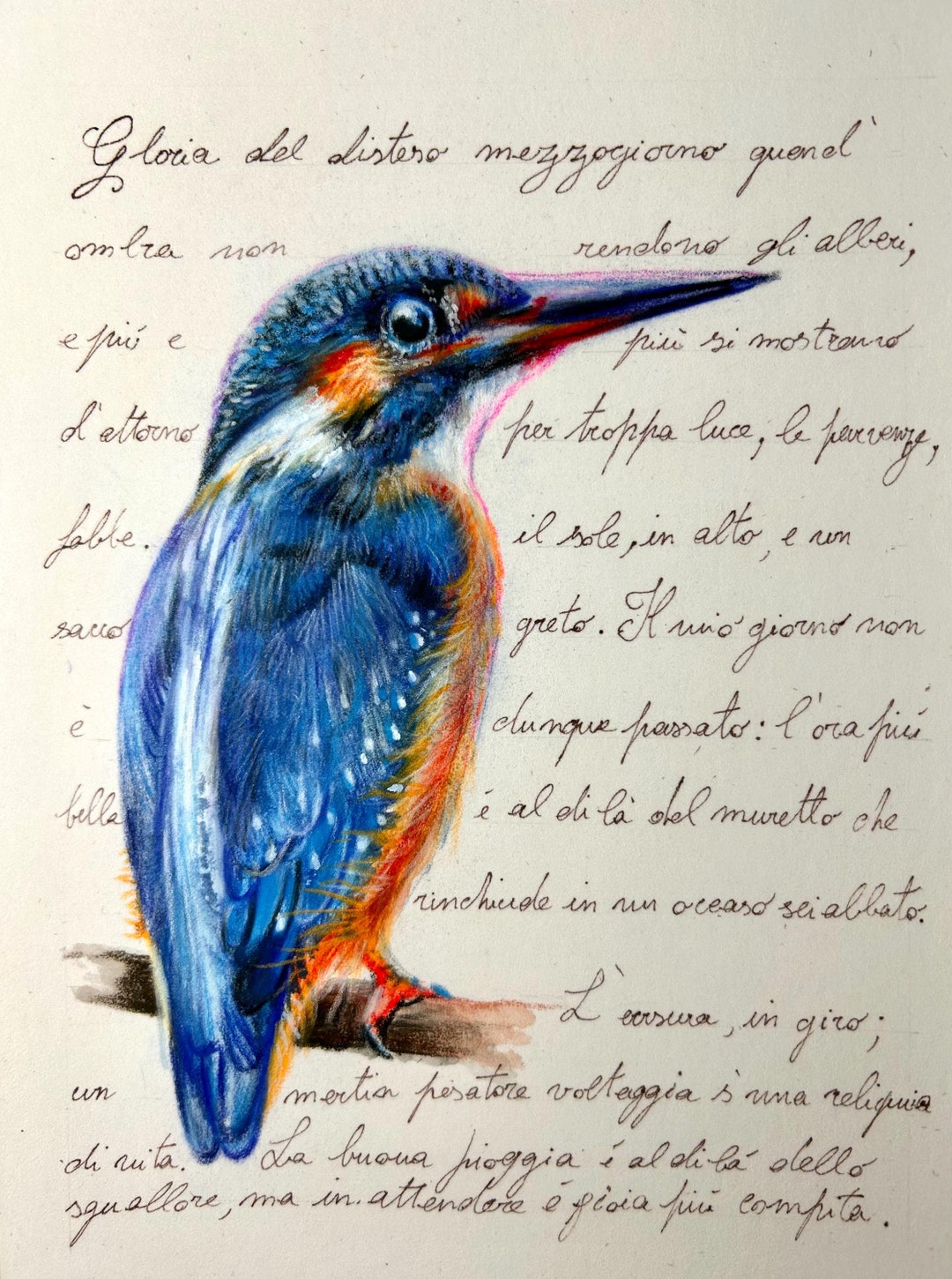 Kingfisher Drawing alcedo Atthis - Etsy