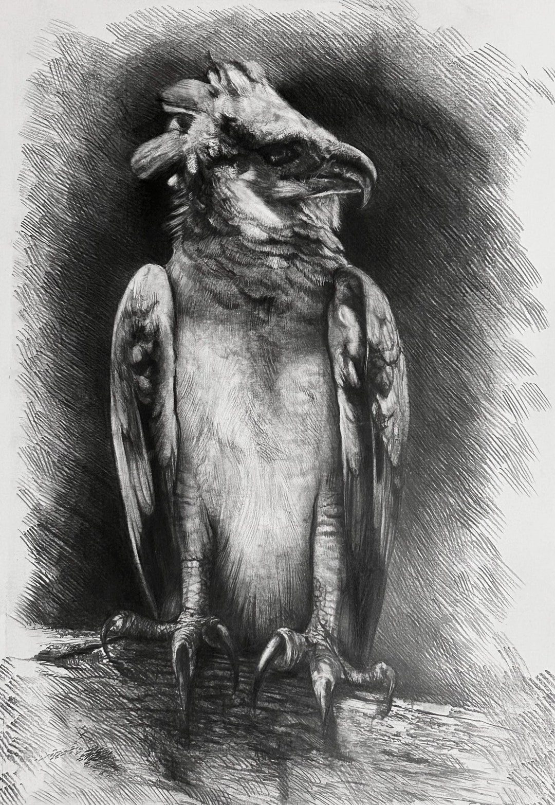 Hand-drawn Harpy Eagle Art Illustration - One of a Kind (harpia Harpyja ...