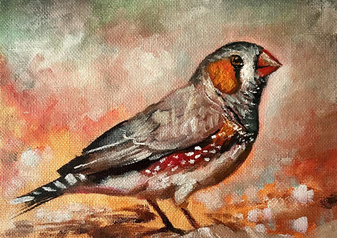 Zebra Finch Art Painting Hand Painted - Unique Piece (taeniopygia ...