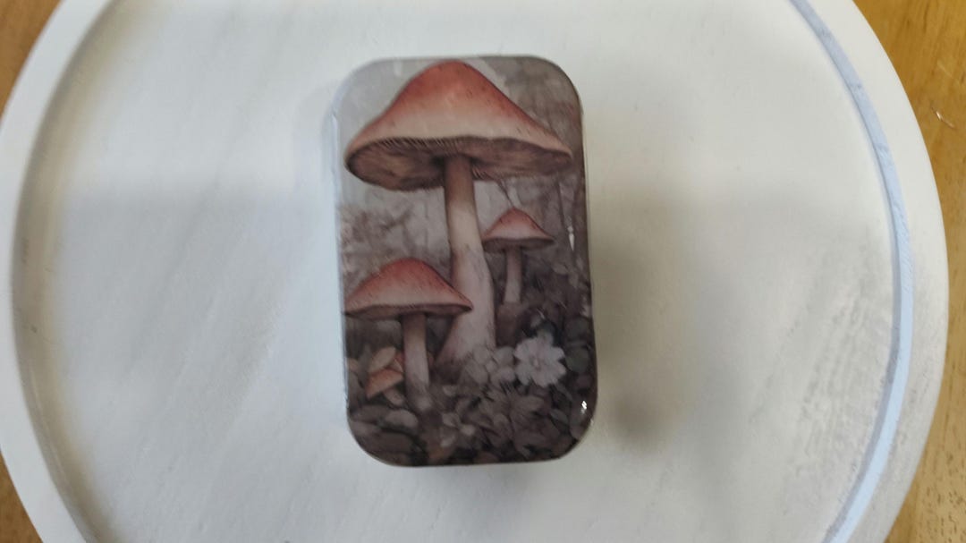 Mushroom Notions Tin: Forest Fairy Pill Box - Etsy