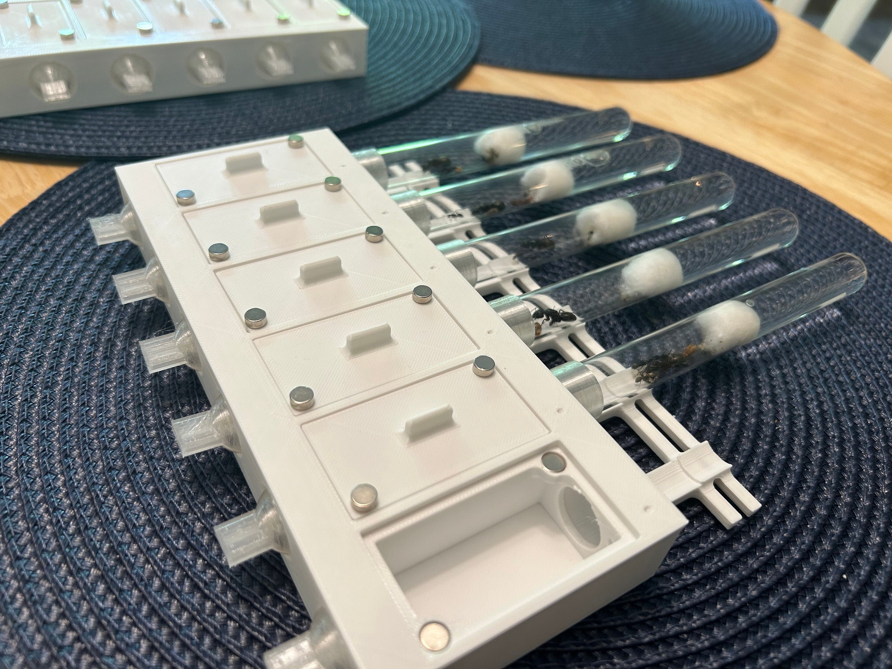 Formicarium 3D Printer STL Files for Ant Keeping - Etsy